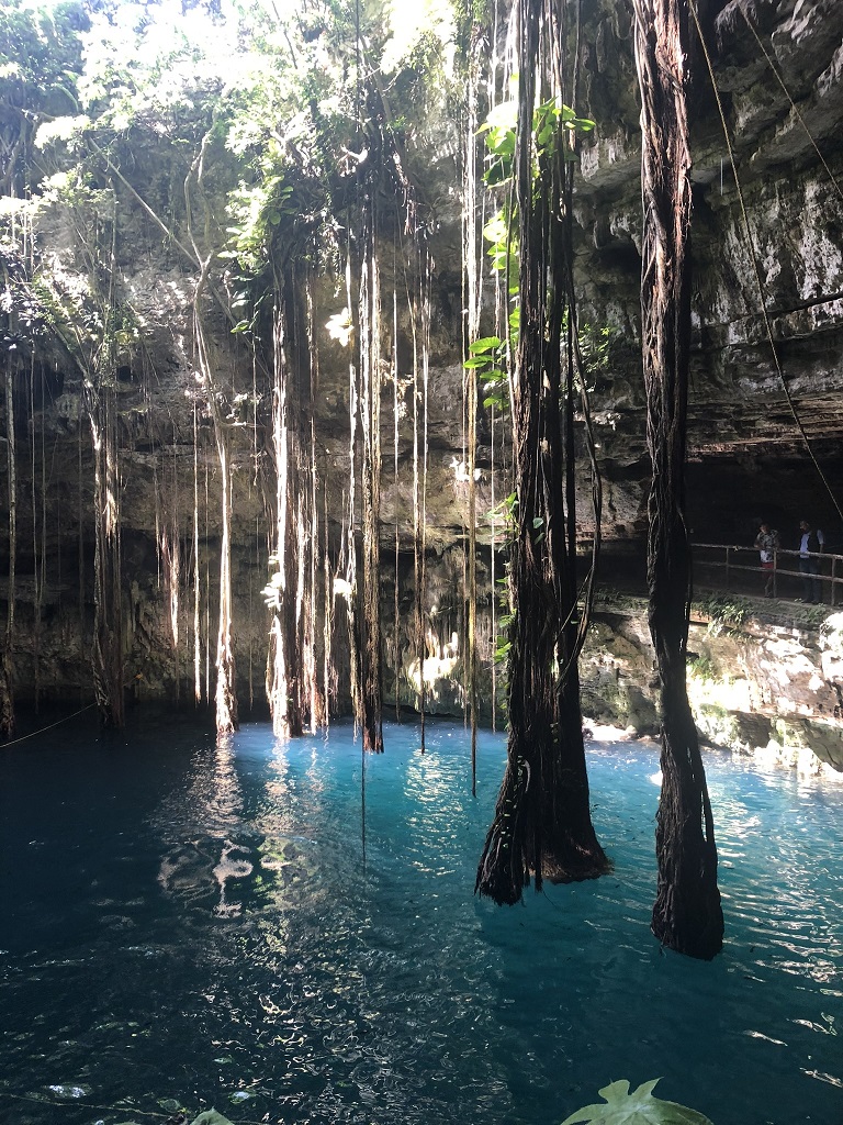 De mooiste cenotes van Mexico | Wat is een cenote?